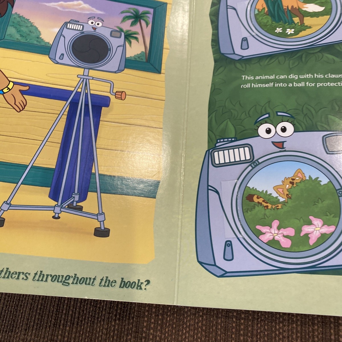 Go Diego Go Click The Camera Toy