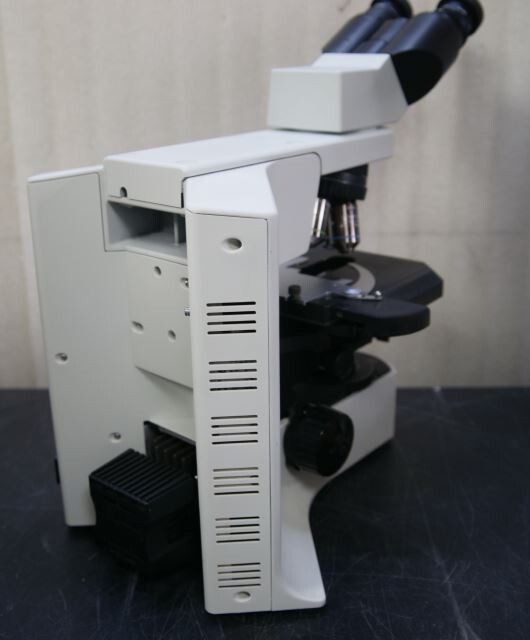 Olympus BX41TF Flourescent Microscope for sale online | eBay