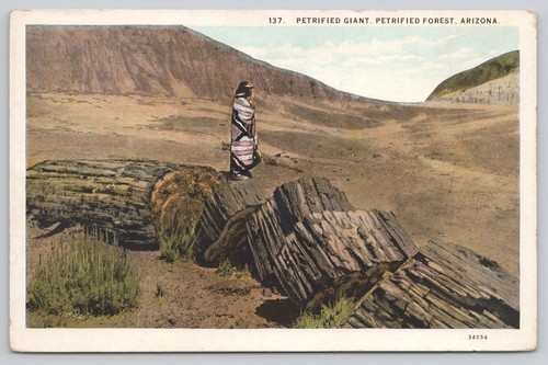 Postcard Petrified Giant Petrified Forest Arizona | eBay