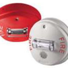 Lit'Blu | eBay Stores