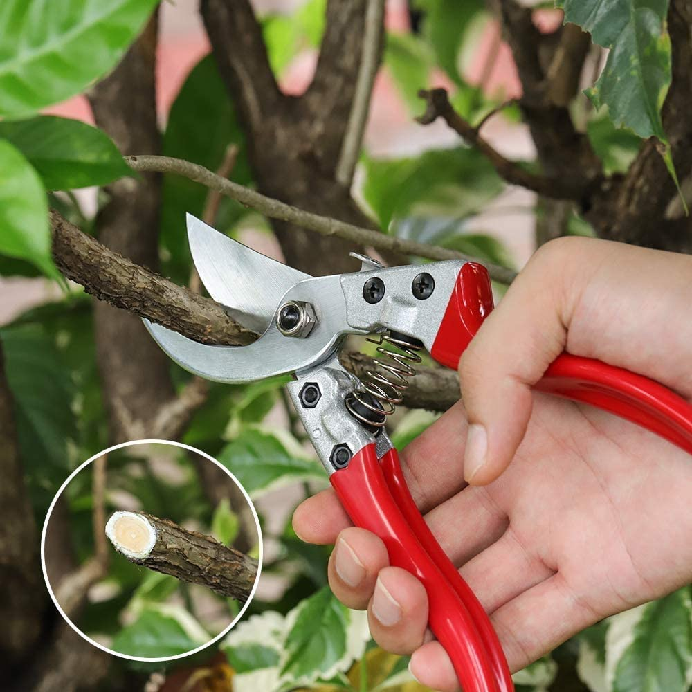 8" Pruning Shears Professional Bypass Garden Shear Hand Pruners ...
