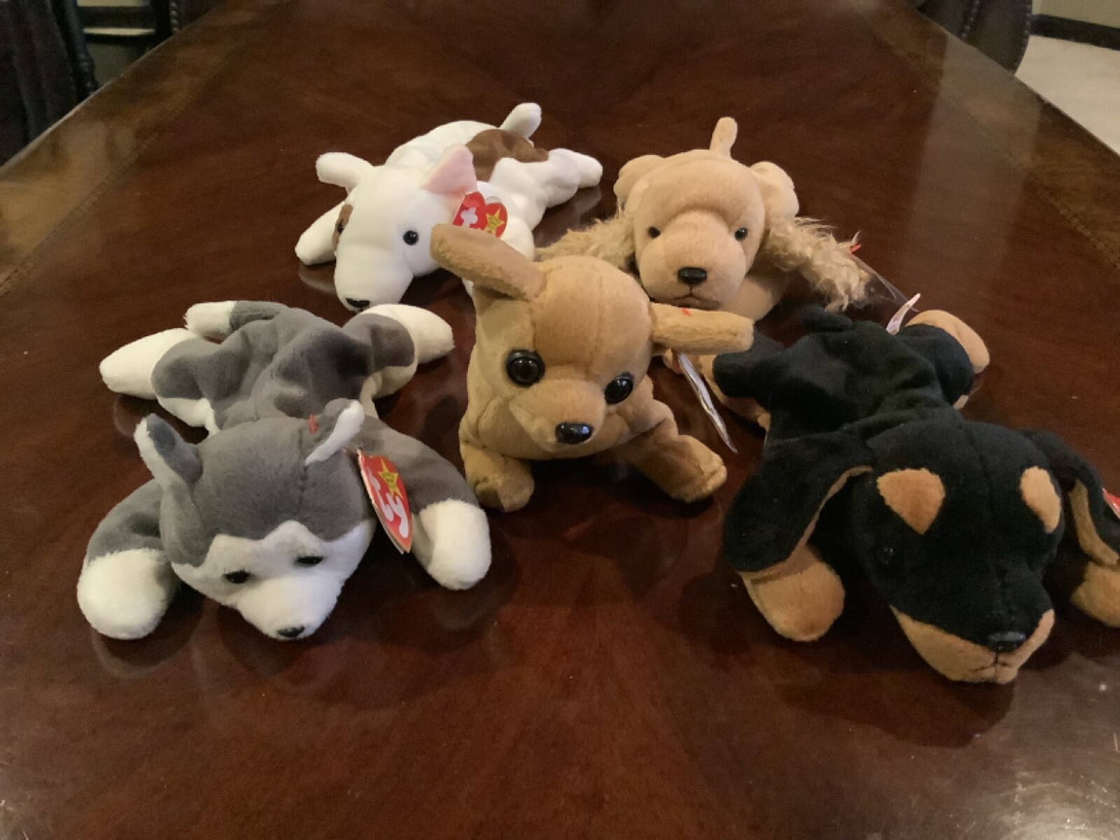 TY Beanie Babies lot DOGS 1996-1999 SPUNKY NANOOK TINY BUTCH DOBY with ...