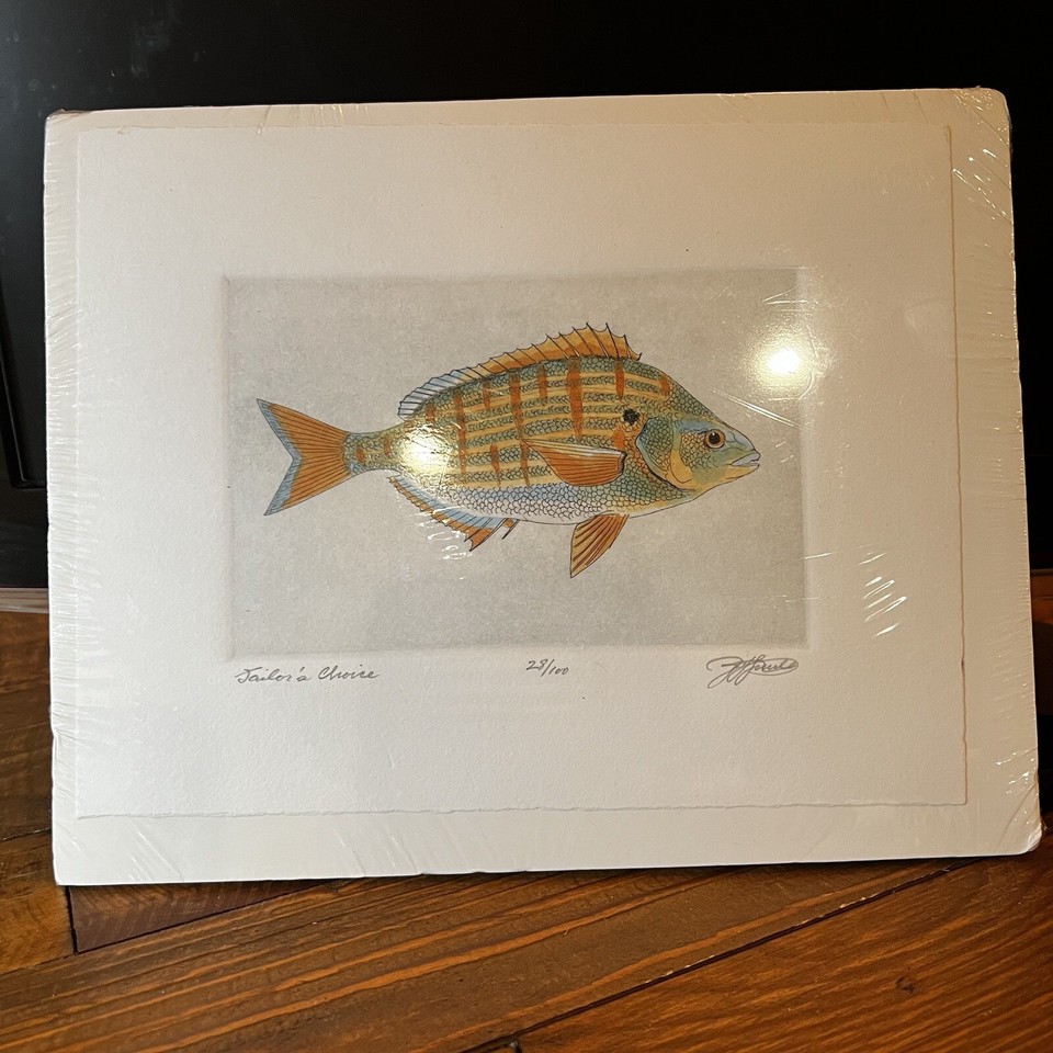 Watercolor Etching “Sailor’s Choice” Signed 28/100 Artist DAVID HUNTER ...
