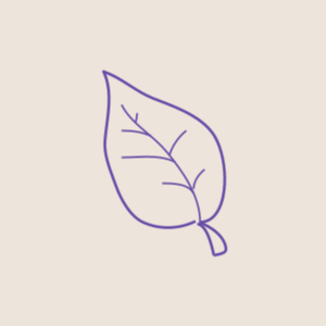 purplebasil | eBay Stores