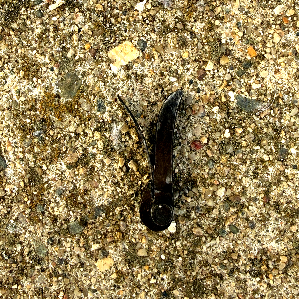 Original 1851-61 Navy Colt, 1860 Colt Army Pistol Hand Assembly w ...