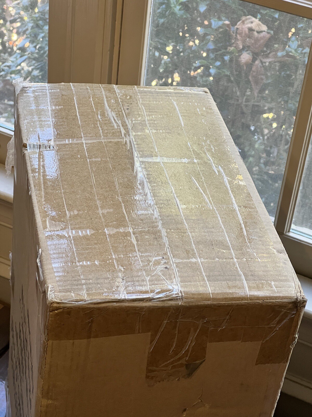 Sideshow Statue Star Wars Shaak Ti Premium Format Figure #121/2500(W/2 ...