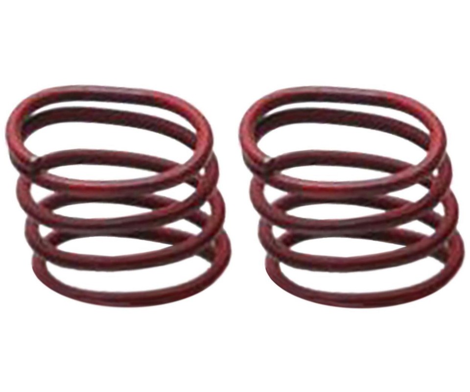 Parking Brake Strut Spring | eBay