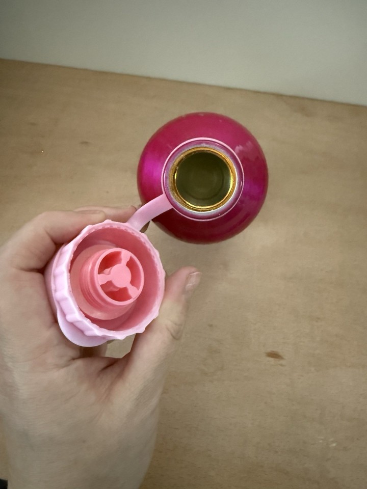 Disney Frozen Water Bottle – Princess Anna & Queen Elsa Pink Drink ...