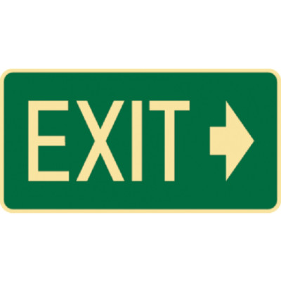 Prosafe EXIT RIGHT ARROW SAFETY SIGN 350x180mm Luminescent Metal YELLOW ...