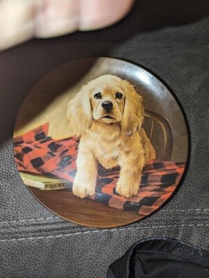 COCKER SPANIEL KNOWLES PLATE | eBay