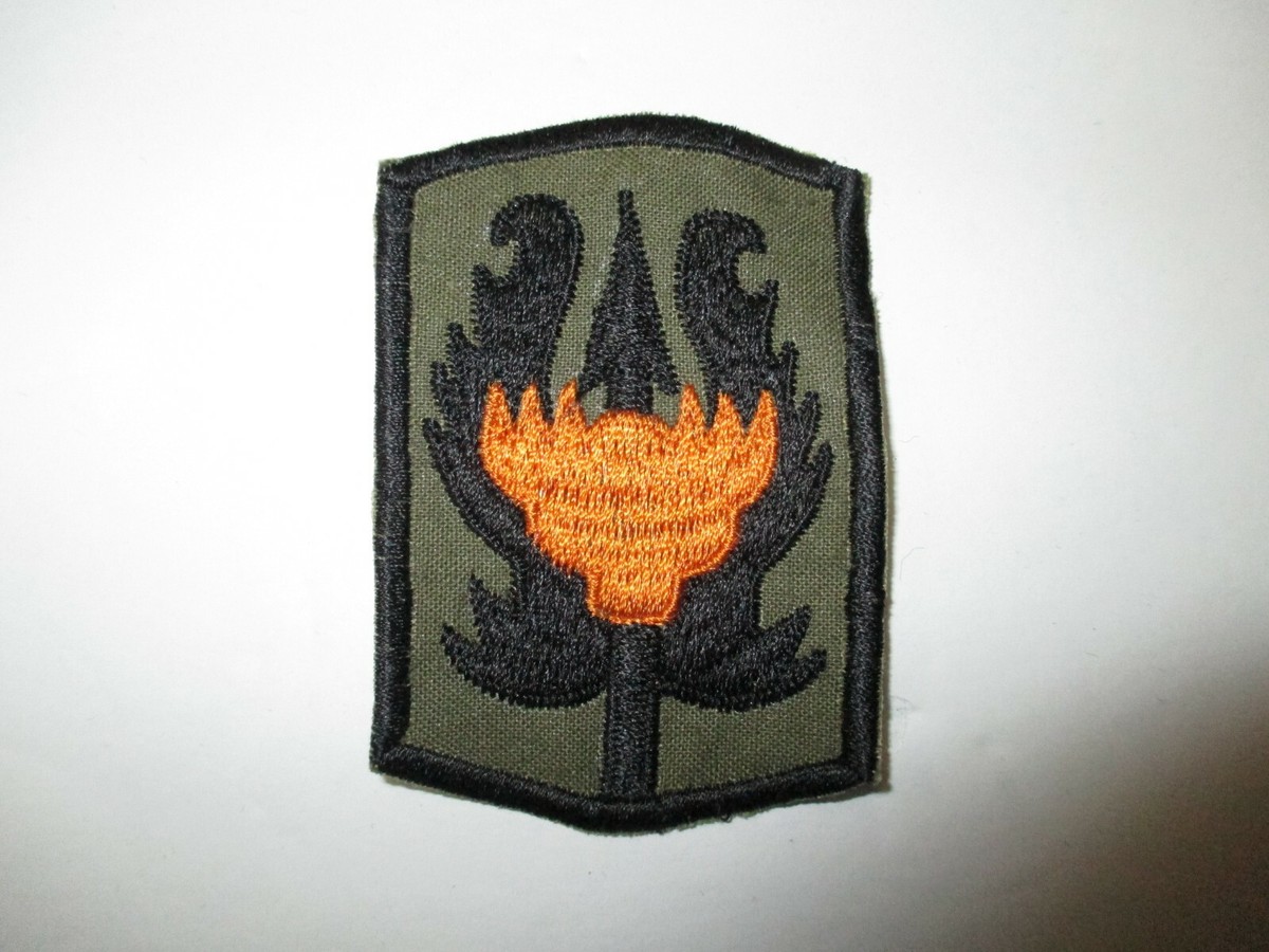 Light Infantry Brigade In Vietnam Original Vietnam Era US Made Subdued