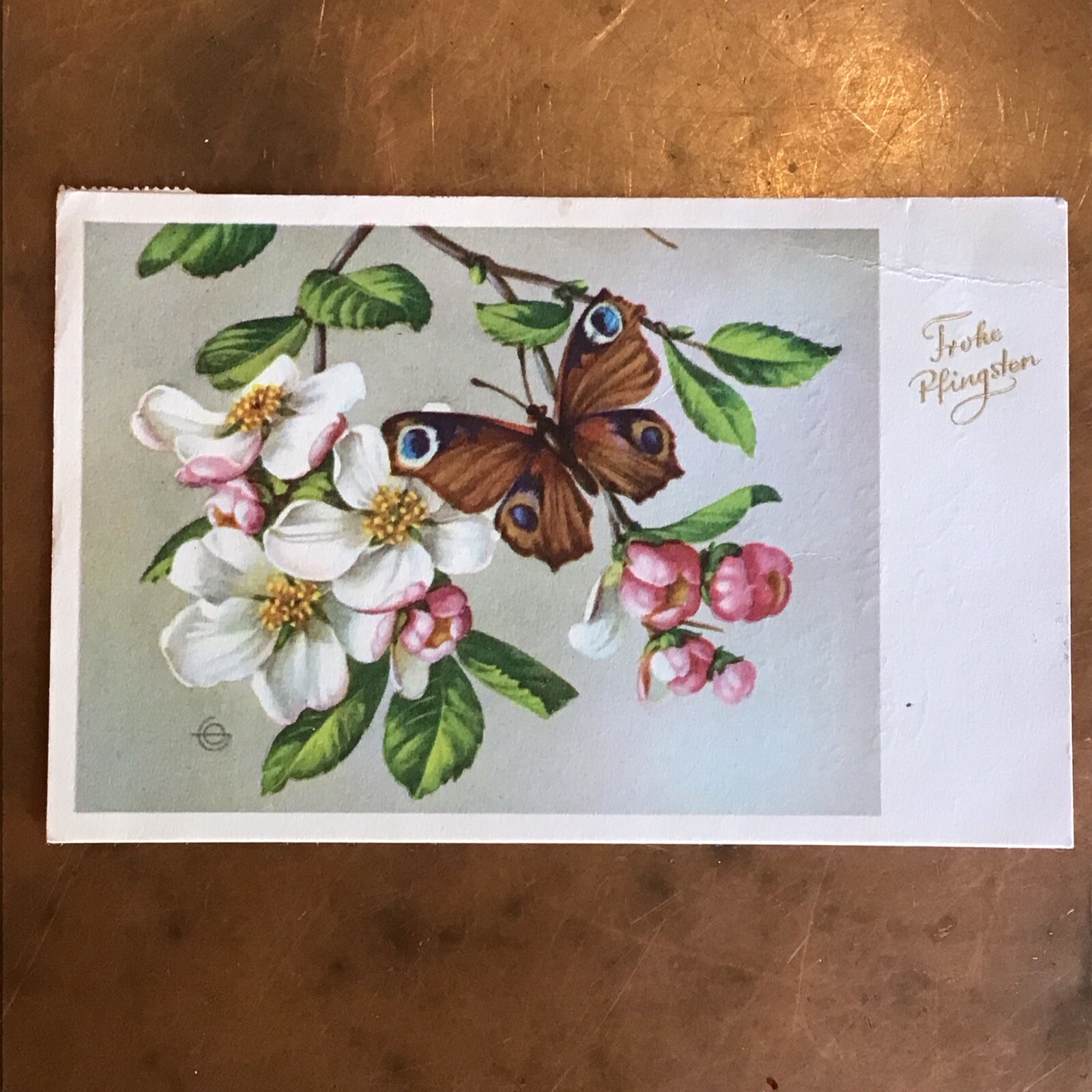 antique vintage Spring Used Postcard with Butterfly + Australian Stamp ...