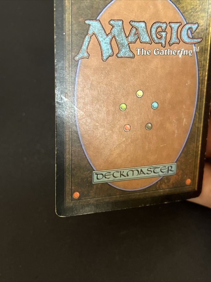 1x Foil Tainted Wood (143) Torment HP MTG Magic the Gathering x1 MKE | eBay