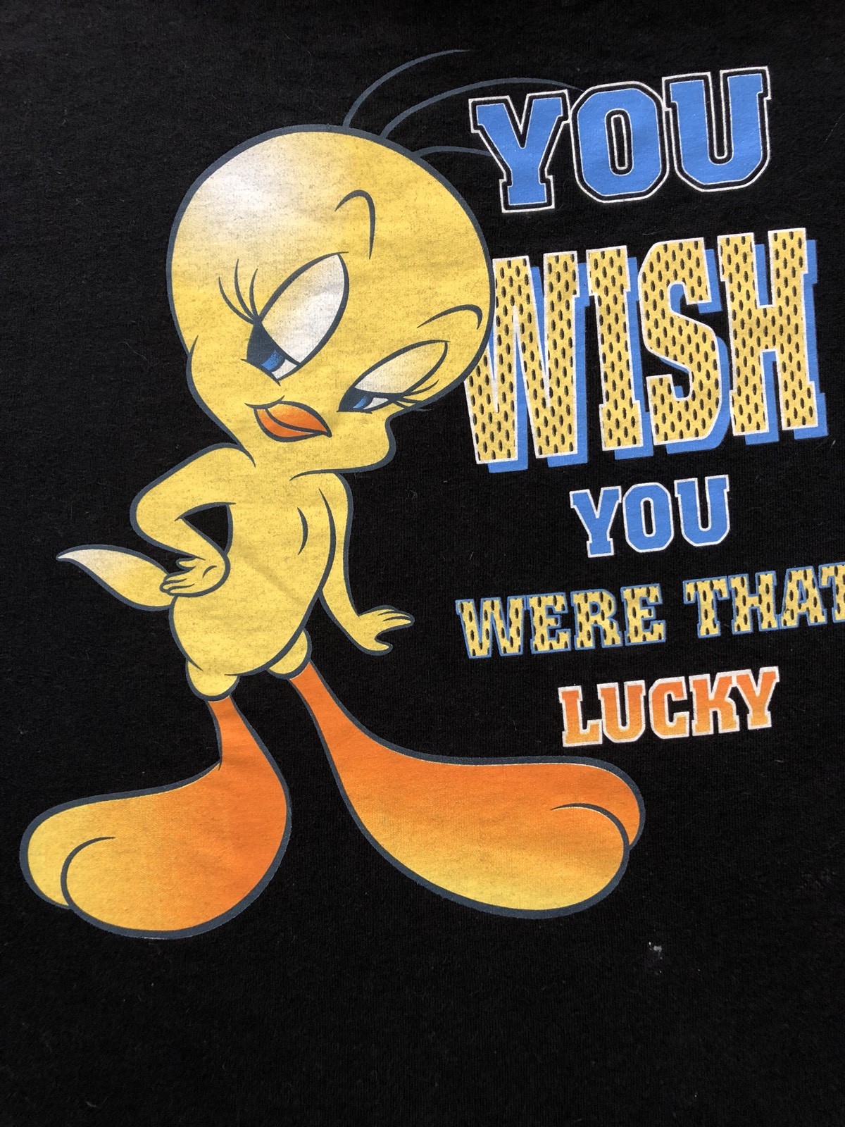 Classic Looney Tunes Tweety Bird YOU WISH YOU WERE TH… - Gem