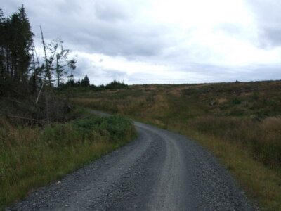 Photo 6x4 Deadwood Cleugh Redesdale Camp Forest track crossing Deadwood ...