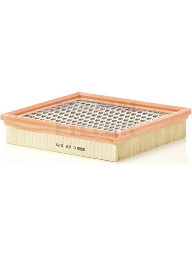 Mann Air Filter (C22029) | eBay