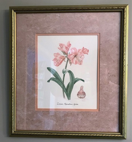 Gethen Wooden Framed Prints, Botanical Set of 2 | eBay UK