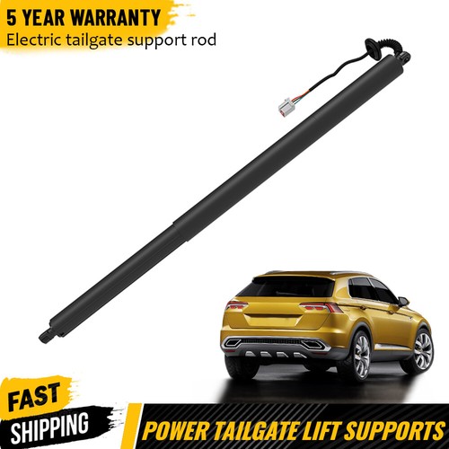 Rear Left Tailgate Power Lift Support For 2013 2014 2015 2016 - 2019 ...
