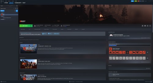 Rust steam account | eBay.de