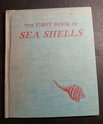 1955 The First Book of Sea Shells Betty Cavanna FRANKLIN WATTS ...