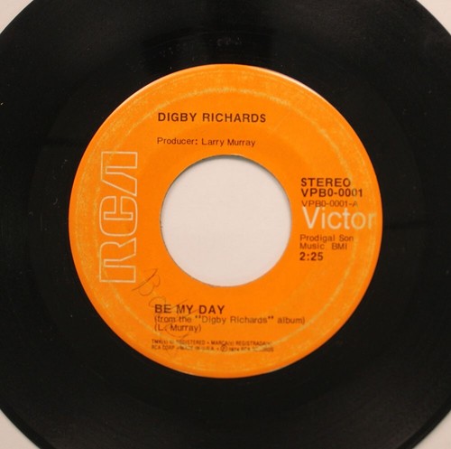 Digby Richards - 45 - Be My Day / Be My Guitar On Rca | eBay