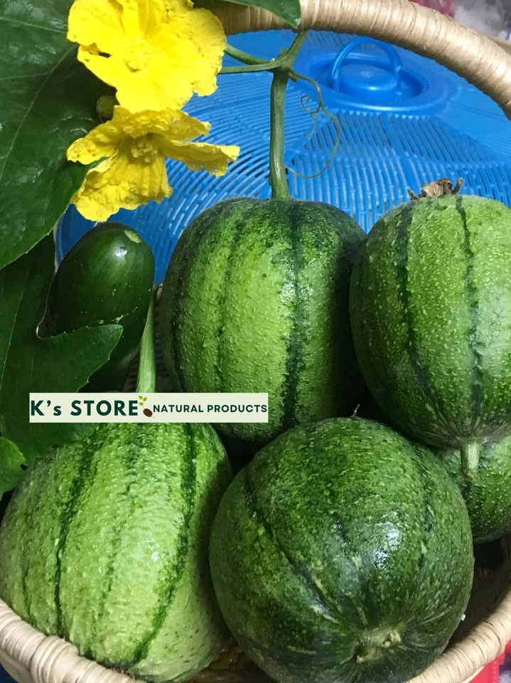 Taiwan APPLE LUFFA Hybrid Seeds; 蘋果絲瓜 very sweet can be eaten raw; from ...