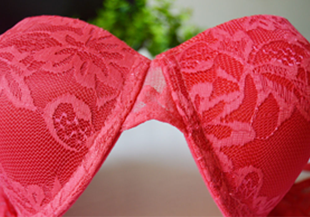 Sexy Push Up Bra Plus Size A B C D Cup Women Bras Lingerie Underwire
