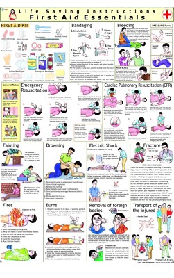 First Aid Chart | Laminated | English | 70 x 100 cm | eBay
