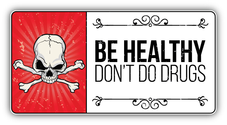 Funny Bumper Sticker About Health Having A * Bumper Sticker * Bumper