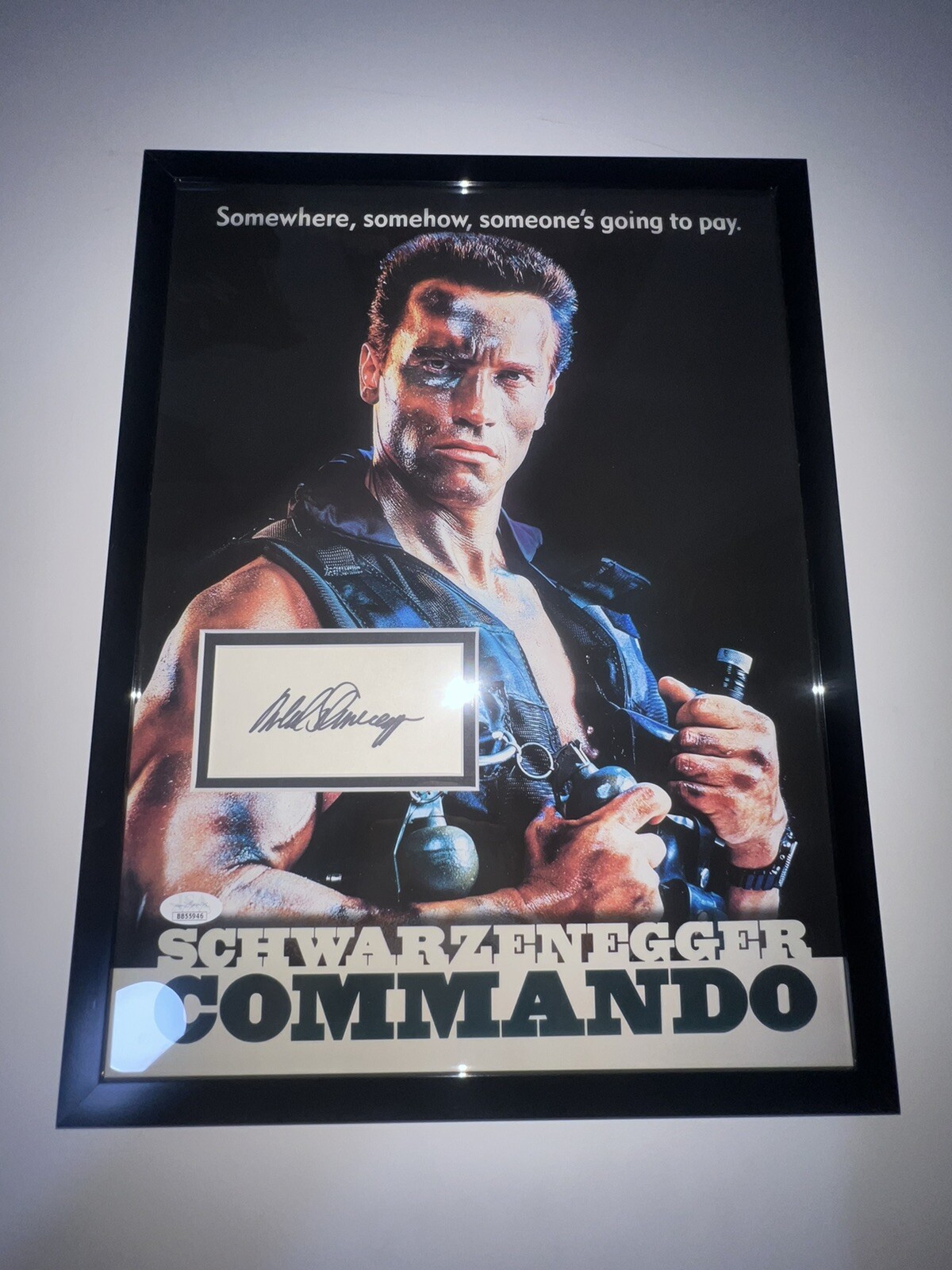 Arnold Schwarzenegger | Player