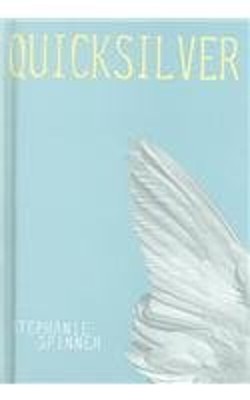 Quicksilver Library Binding Stephanie Spinner 9780375926389 | eBay ...