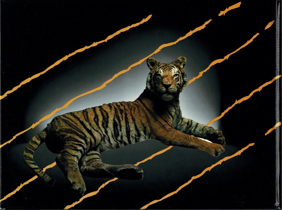 A Tradition of Excellence 1869-1994 Hamilton Tiger-Cats | eBay