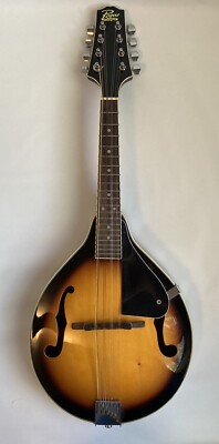 Rogue Fine Instruments RM-100A A-Style Mandolin Sunburst EUC | eBay