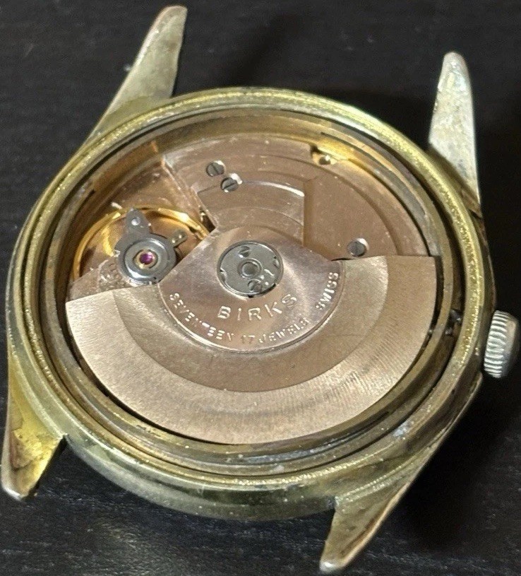 Rideau Birks 17Jewels Automatic Watch Swiss Made Vintage Lug 20mm bloom ...