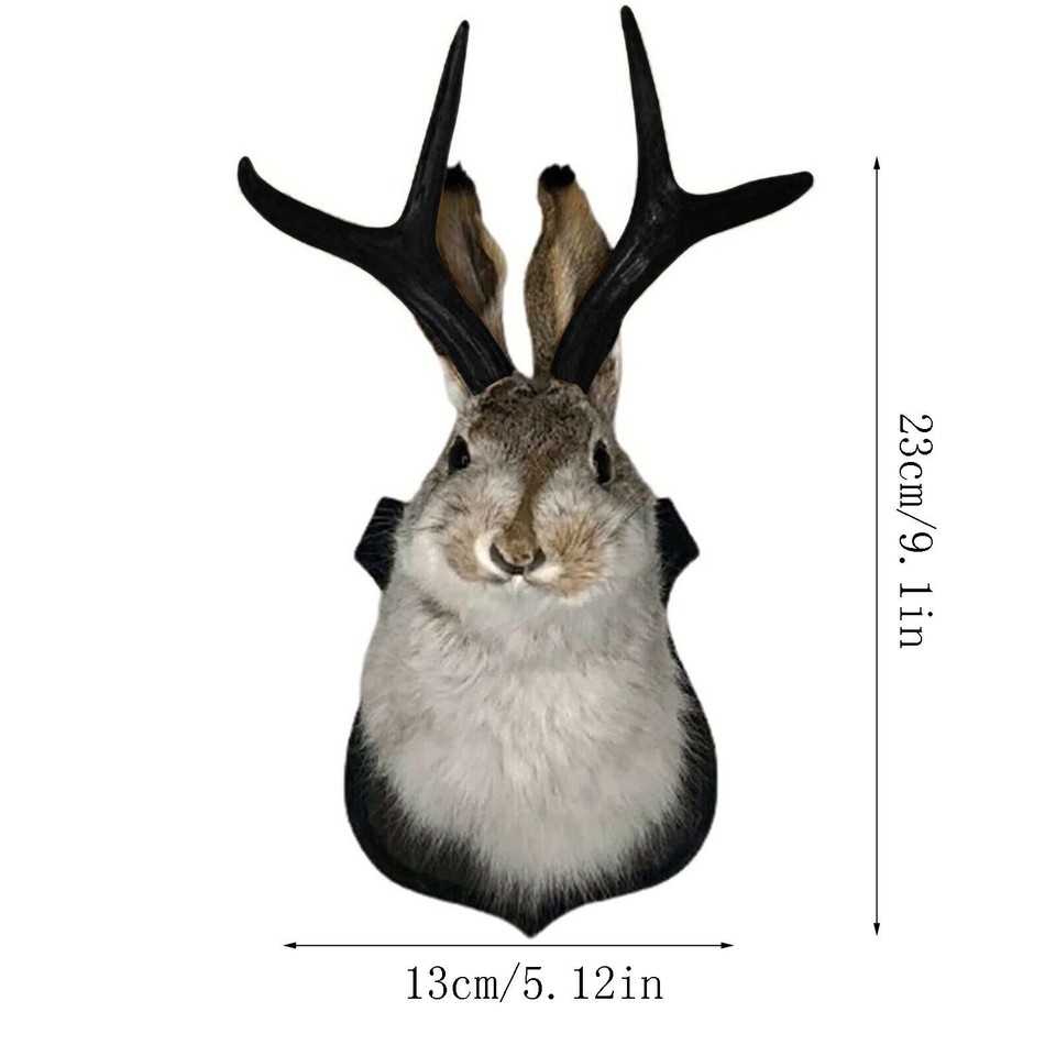 Wall Mounted Rabbit Taxidermy, Animal Head Wall Decor, Deer Head Wall ...