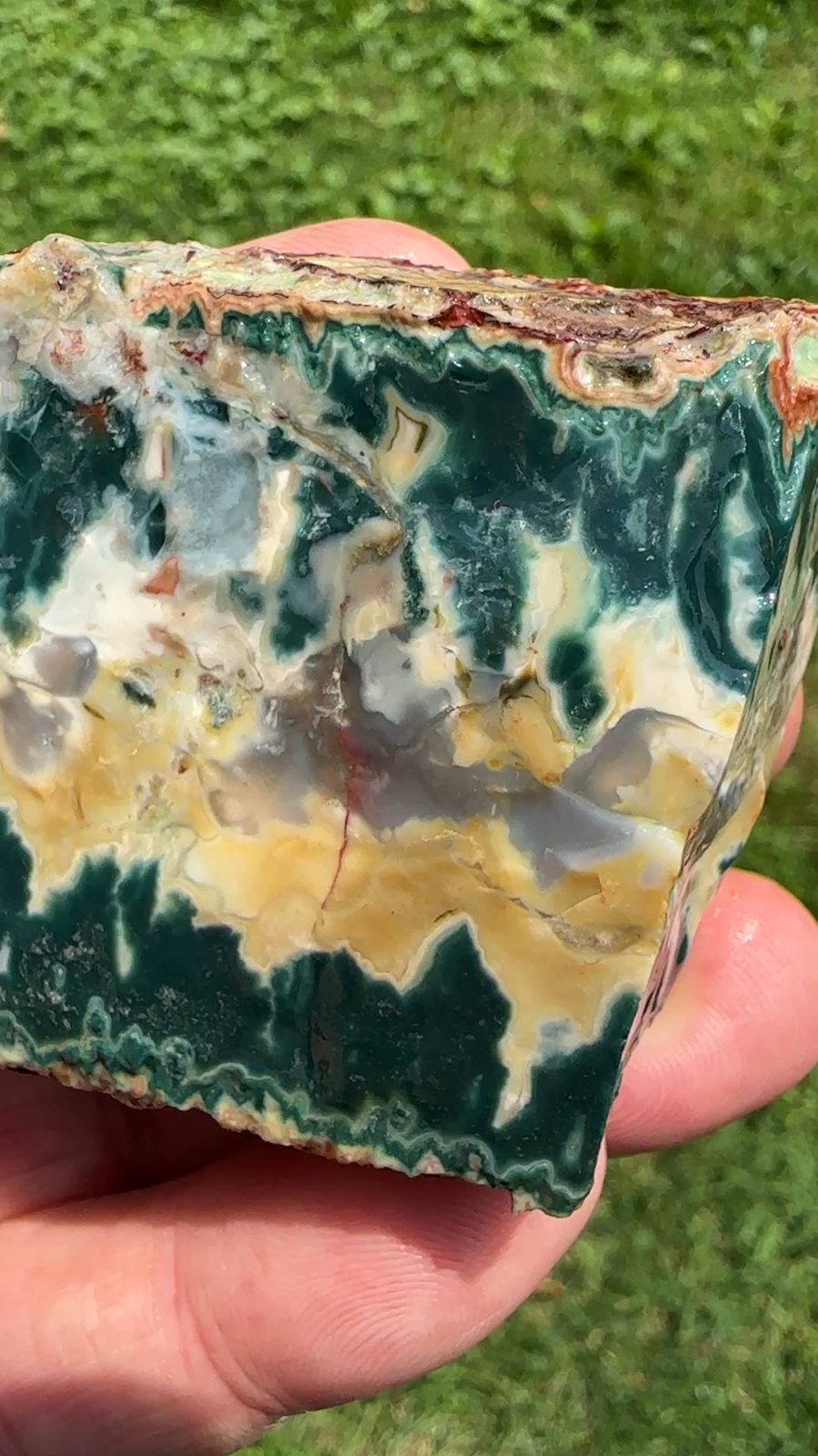 PREMIUM SPECIMEN__RARE Idaho Sunset Jasper / Agate Rough - Lemhi County ...