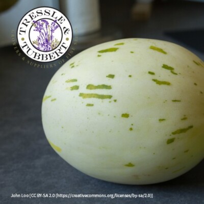 Rare Snow Leopard Melon fruit 5 seeds UK SELLER | eBay UK