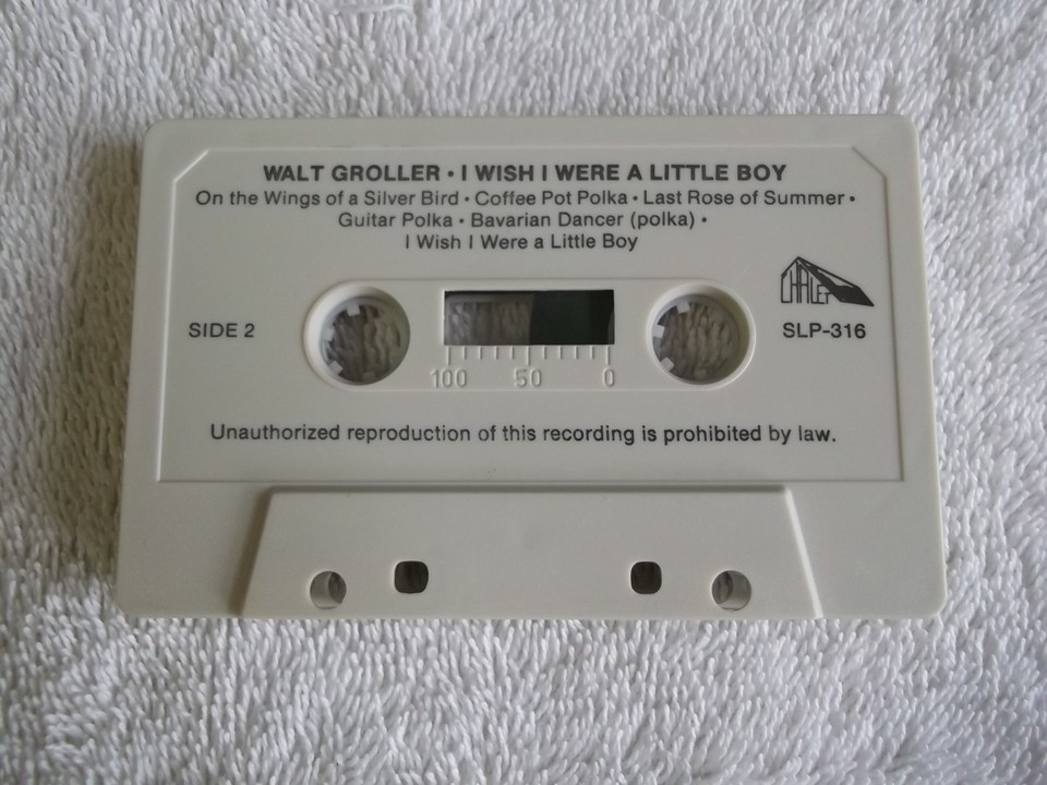 WALT GROLLER - I Wish I Were a Little Boy - CASSETTE Tape CHALET SLP ...