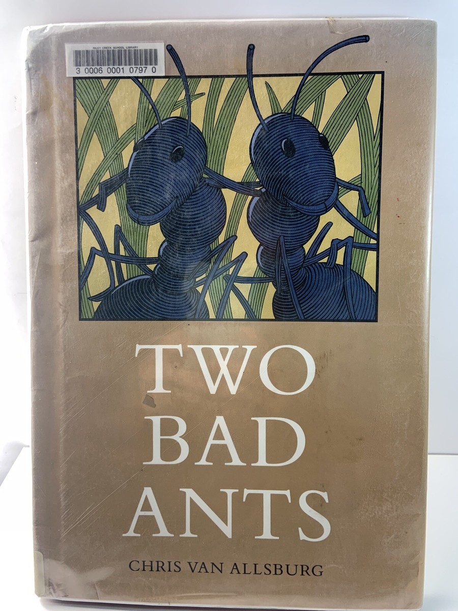 Bad Ants 10 Fun Facts About Fire Ants | Gregory Pest Solutions