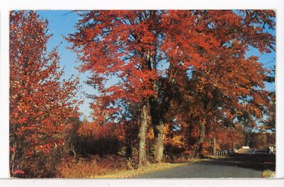 1955 - Fall Foliage on a Country Road, Port Jervis, NY Roadside America ...