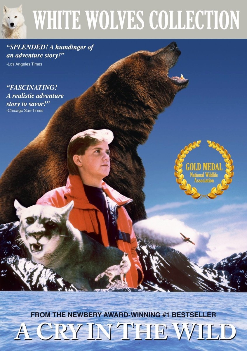 Hatchet Brian Robeson Movie Brian's Return Summary And Study Guide