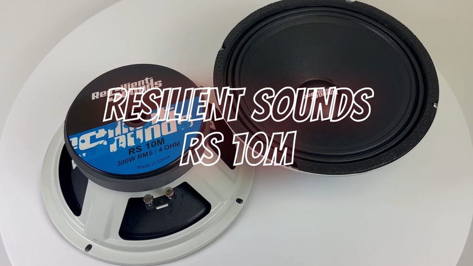 RESILIENT SOUNDS RS 10M 300w rms 4ohm 10" speaker | eBay