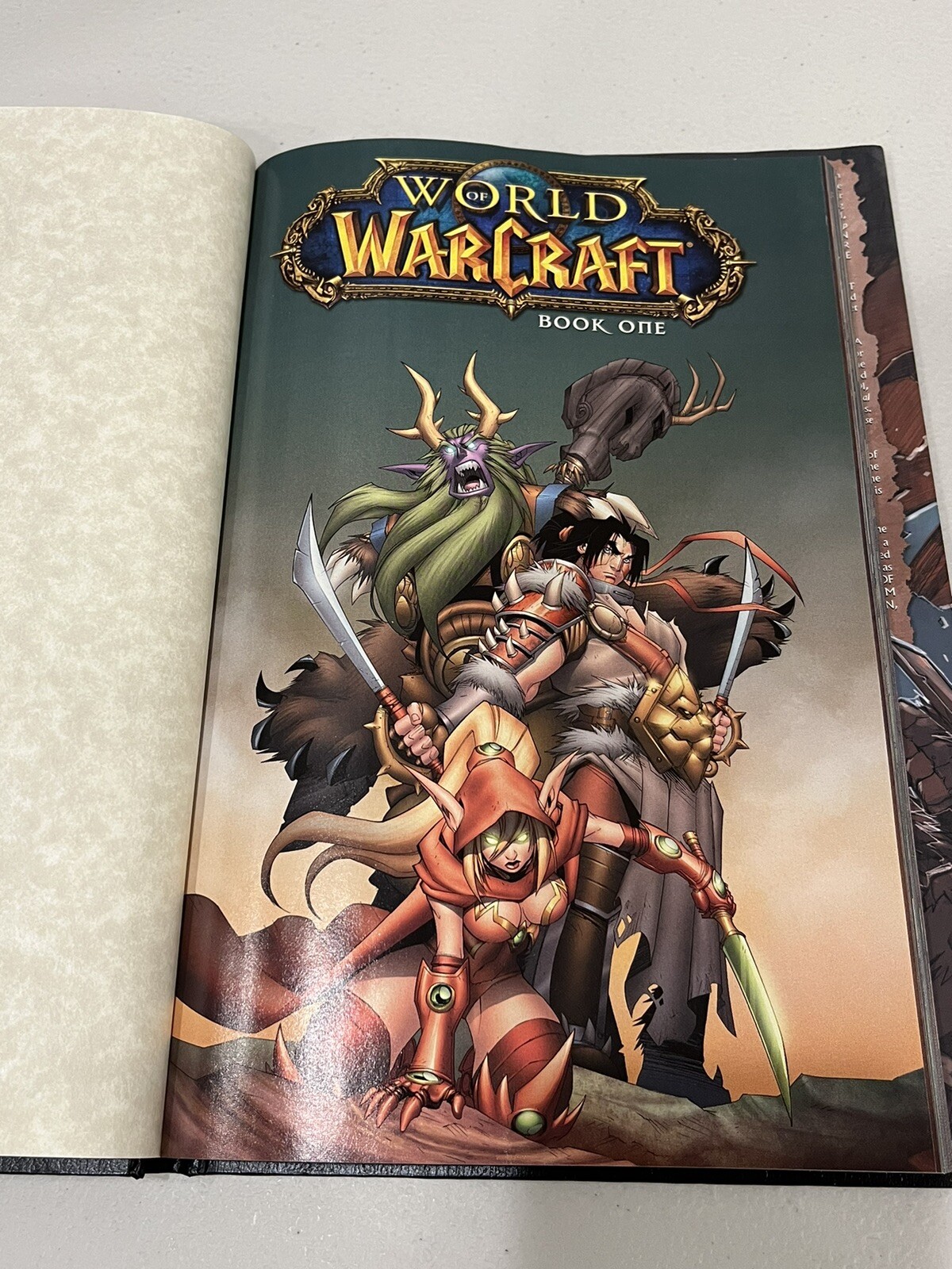 Blizzcon World of Warcraft Book One Graphic Novel Comic Simonson Hope ...