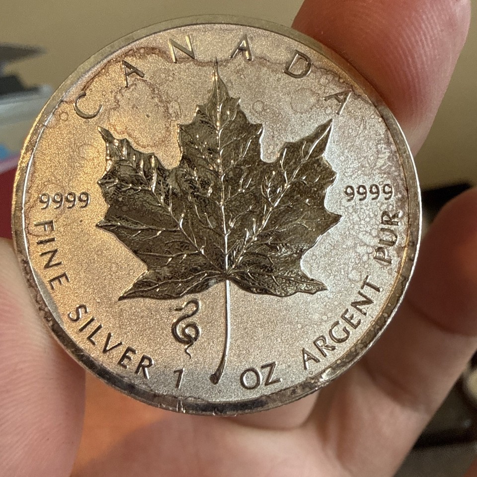 2013 Canada Silver Maple TONED Rev-Proof Coin 1 oz .9999 Silver- Snake ...