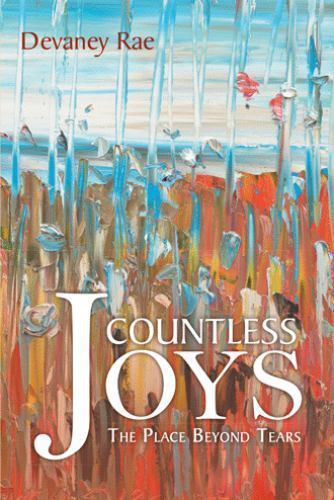 Countless Joys : The Place Beyond Tears by Devaney Rae (2015, Trade ...