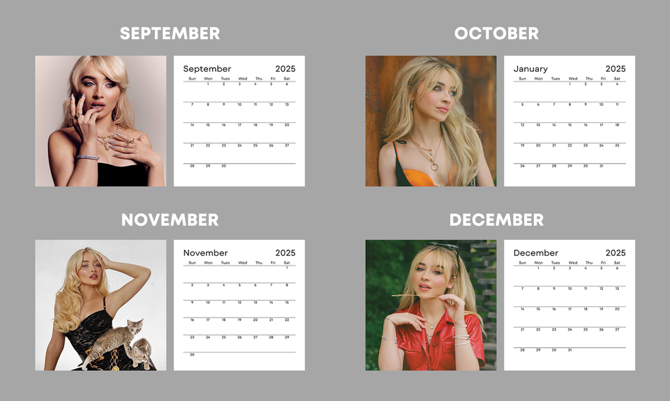 Sabrina Carpenter 2026 Celebrity Wall Calendar – Stunning Photos for ...