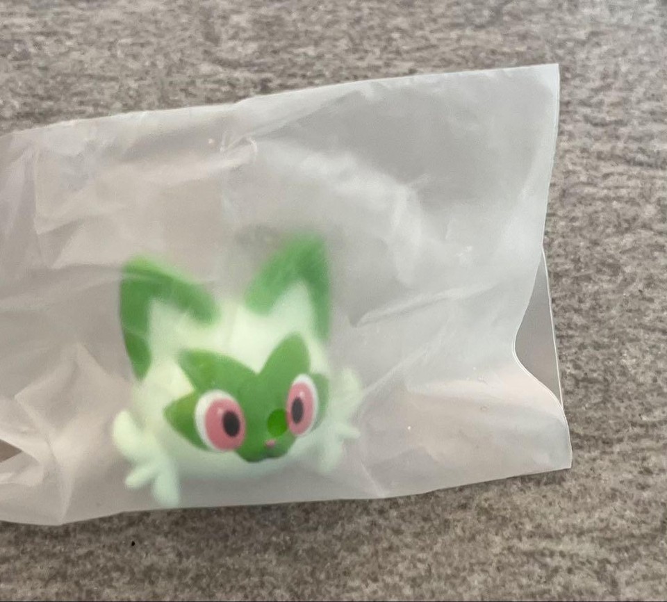 Faith Pokemon Ursaring Scott Pokemon Sprigatito | eBay