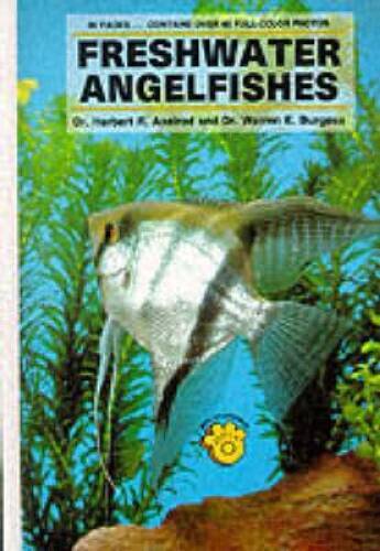 Freshwater Angel Fishes - Hardcover By Axelrod, Herbert R. - GOOD ...