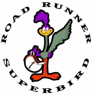 ROADRUNNER HOT ROD RAT FINK BIKER MOTORCYCLES TOOLS GUNS STICKER | eBay