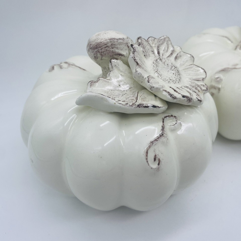 Set Of 2 Ceramic Fall Pumpkin’s With Brown Accent Flower And Vines | eBay